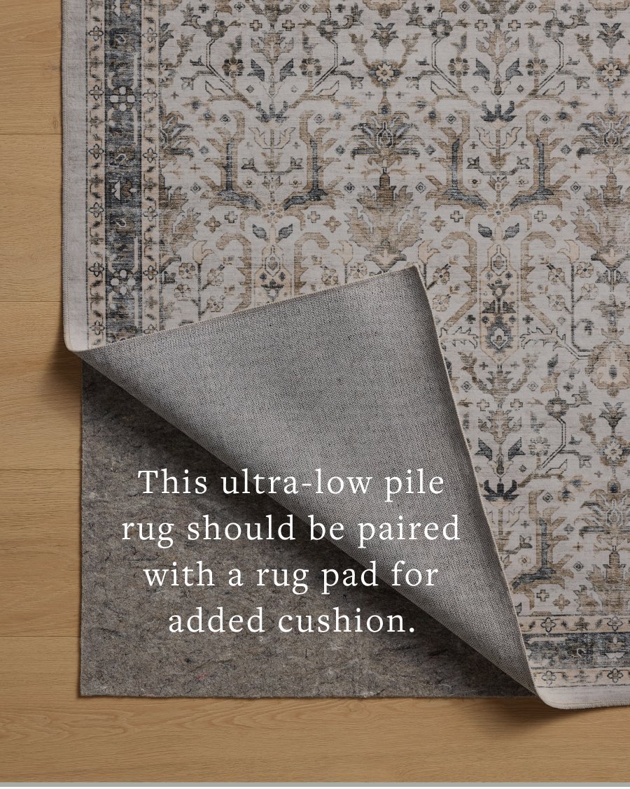 Loloi II Anniston Washable ANS-01 Traditional / Oriental Area Rugs ...