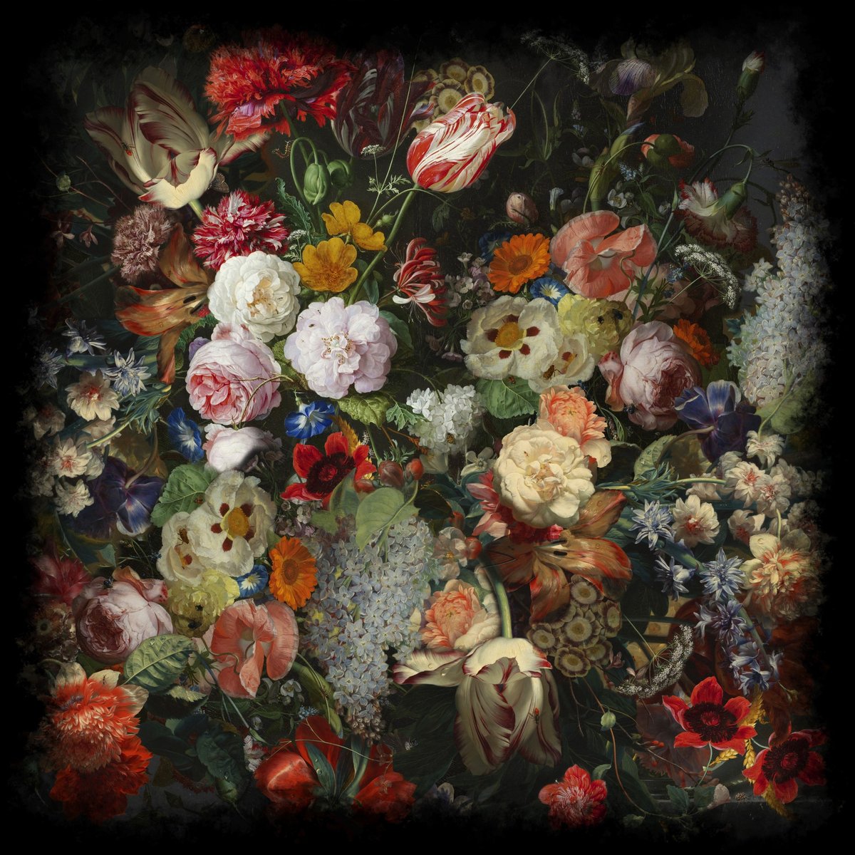 Moooi Carpets Eden Queen Floral / Botanical Area Rugs | Rugs Direct