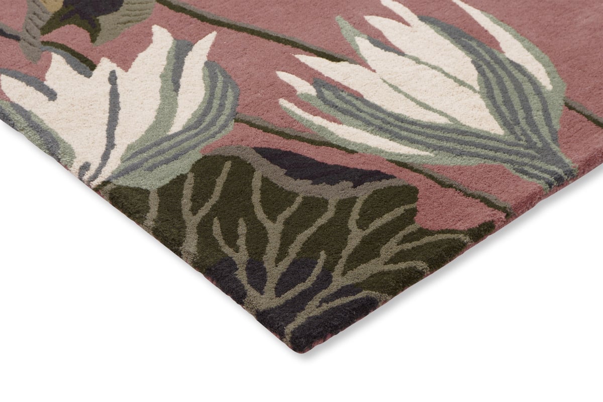 Wedgwood for Brink and Campman Waterlily Floral / Botanical Area Rugs ...