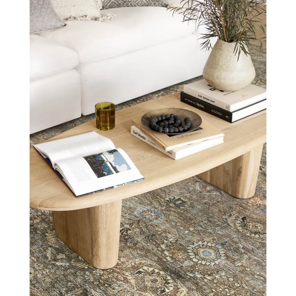 Loloi II Layla LAY-13 Vintage / Overdyed Area Rugs | Rugs Direct