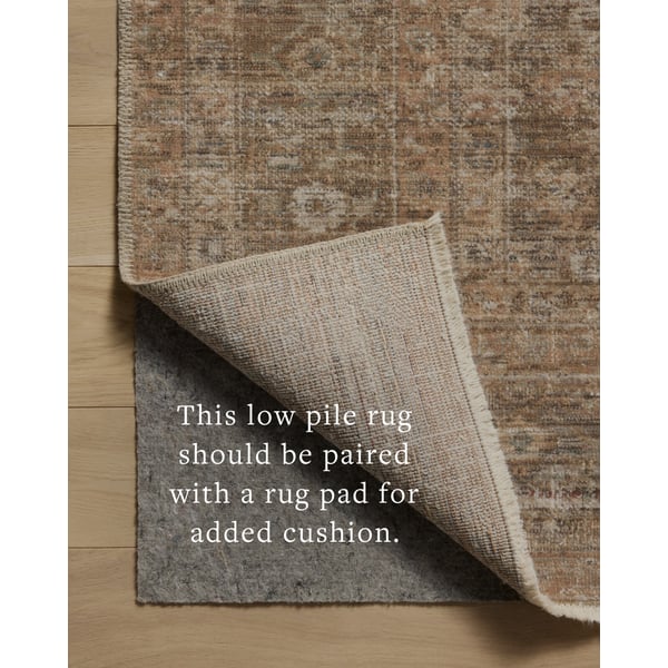 Amber Lewis x Loloi Molly MOL-06 Traditional / Oriental Area Rugs ...