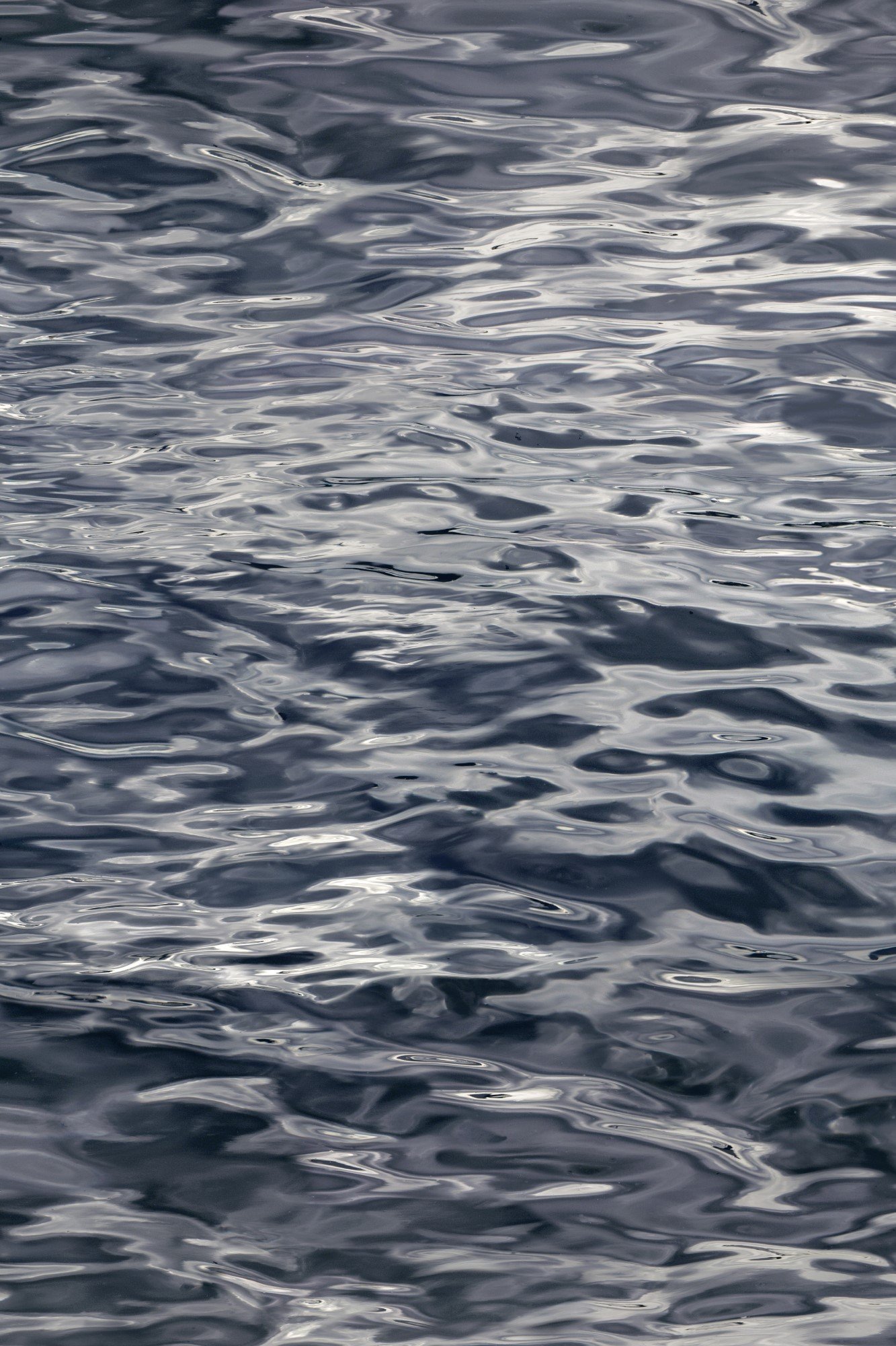 Beach / Nautical Area Rugs | Rugs Direct