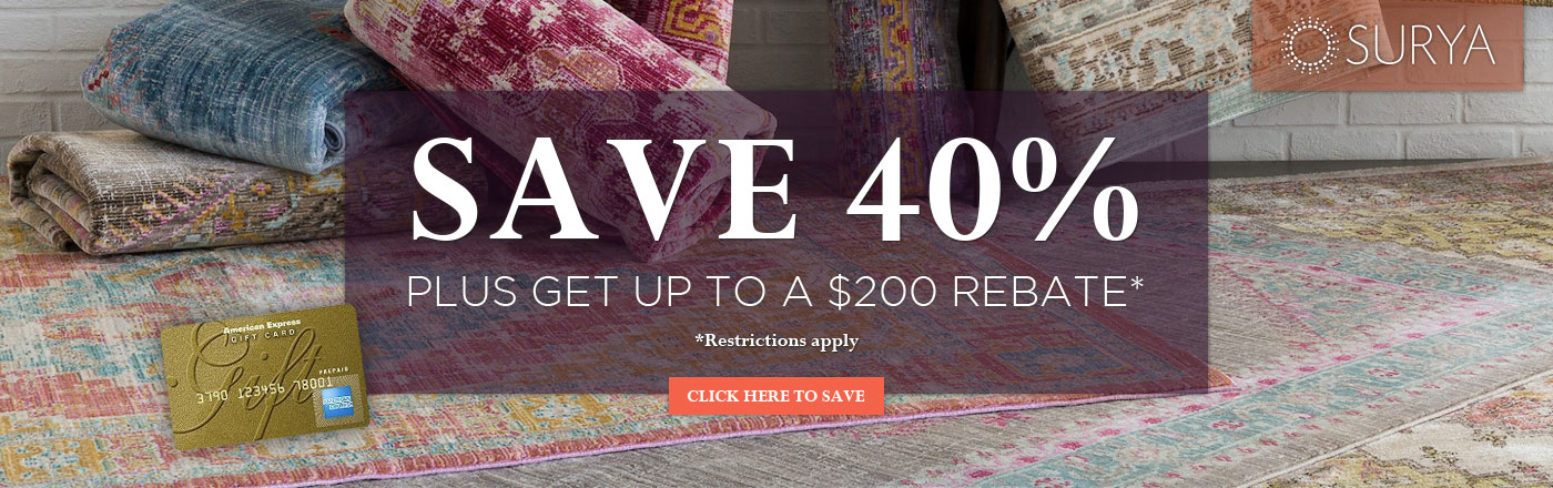 Discount Rugs, Buy Rugs Online, Area Rugs On Sale, Cheap Rugs | Rugs Direct