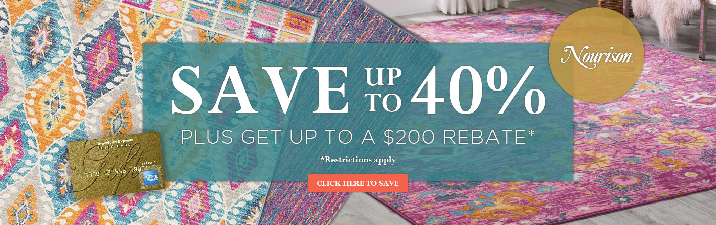 Discount Rugs, Buy Rugs Online, Area Rugs On Sale, Cheap Rugs | Rugs Direct